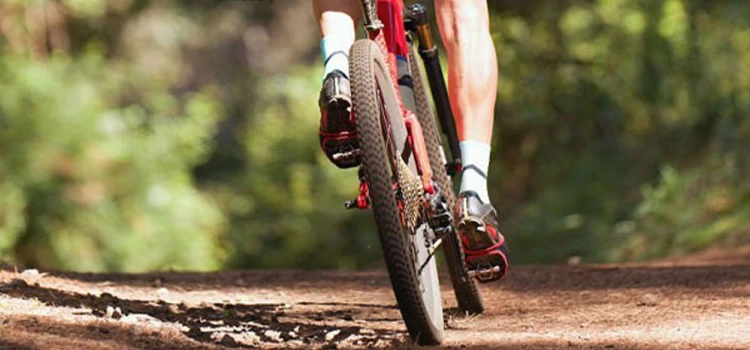 4 Fantastic MTB Cycles that Offer a Thrilling Experience and an ...