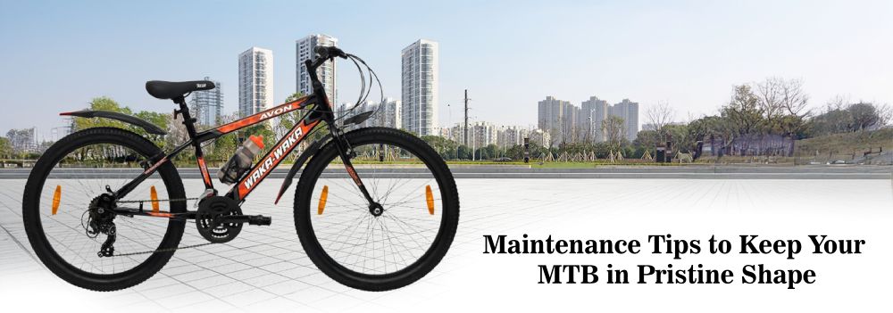 How Bicycle Gears Work: Simple and Detailed Explanation