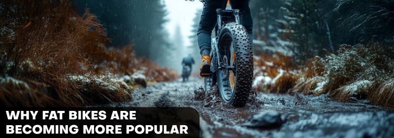Why Fat Bikes Are Gaining Popularity | Top Reasons Explained