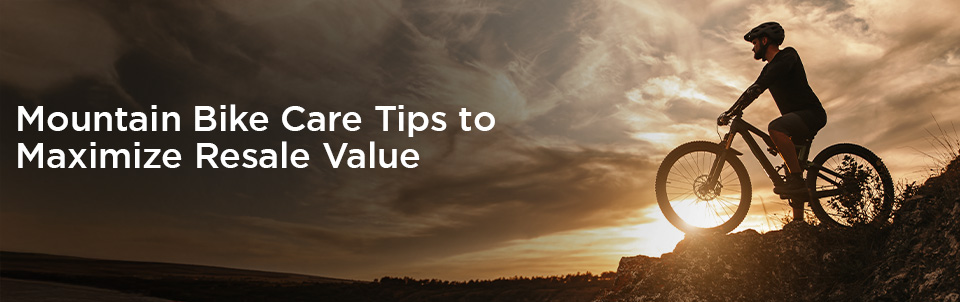 How Bicycle Gears Work: Simple and Detailed Explanation